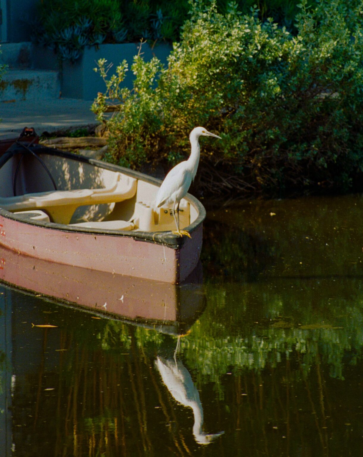 Reflections by Alex Martin – Scripps College Journal